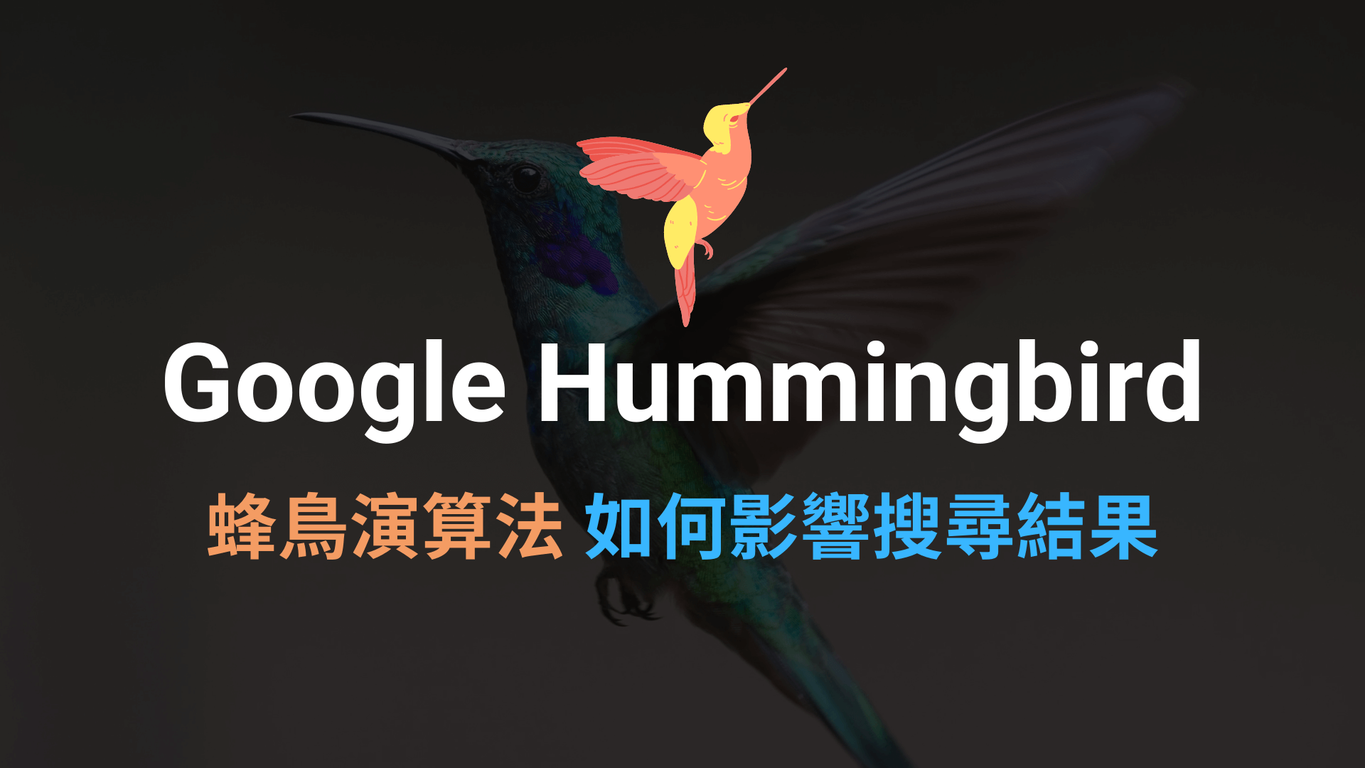 Google Hummingbird 是什麼？蜂鳥演算法如何影響搜尋結果！SEO 教學 - 貓熊先生